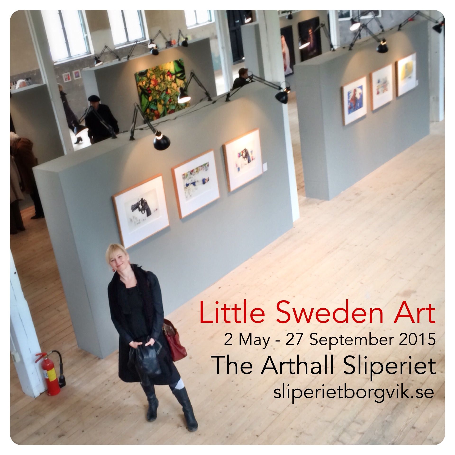 About | Little Sweden Art